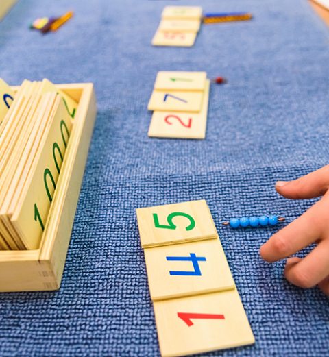 Math Ability Can be Developed | Mathematics Framework