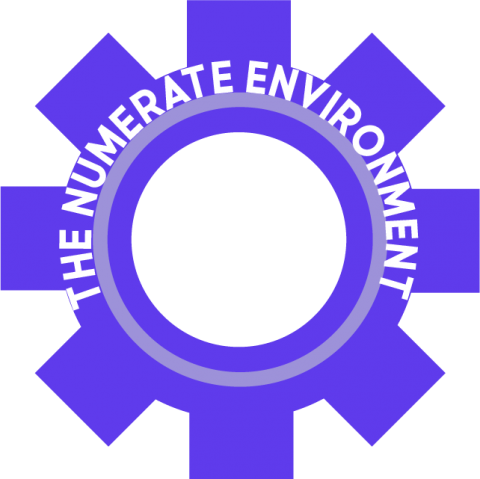 Numerate Environment | Mathematics Framework