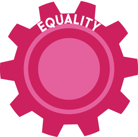 Equality – Conservation of Number | Mathematics Framework